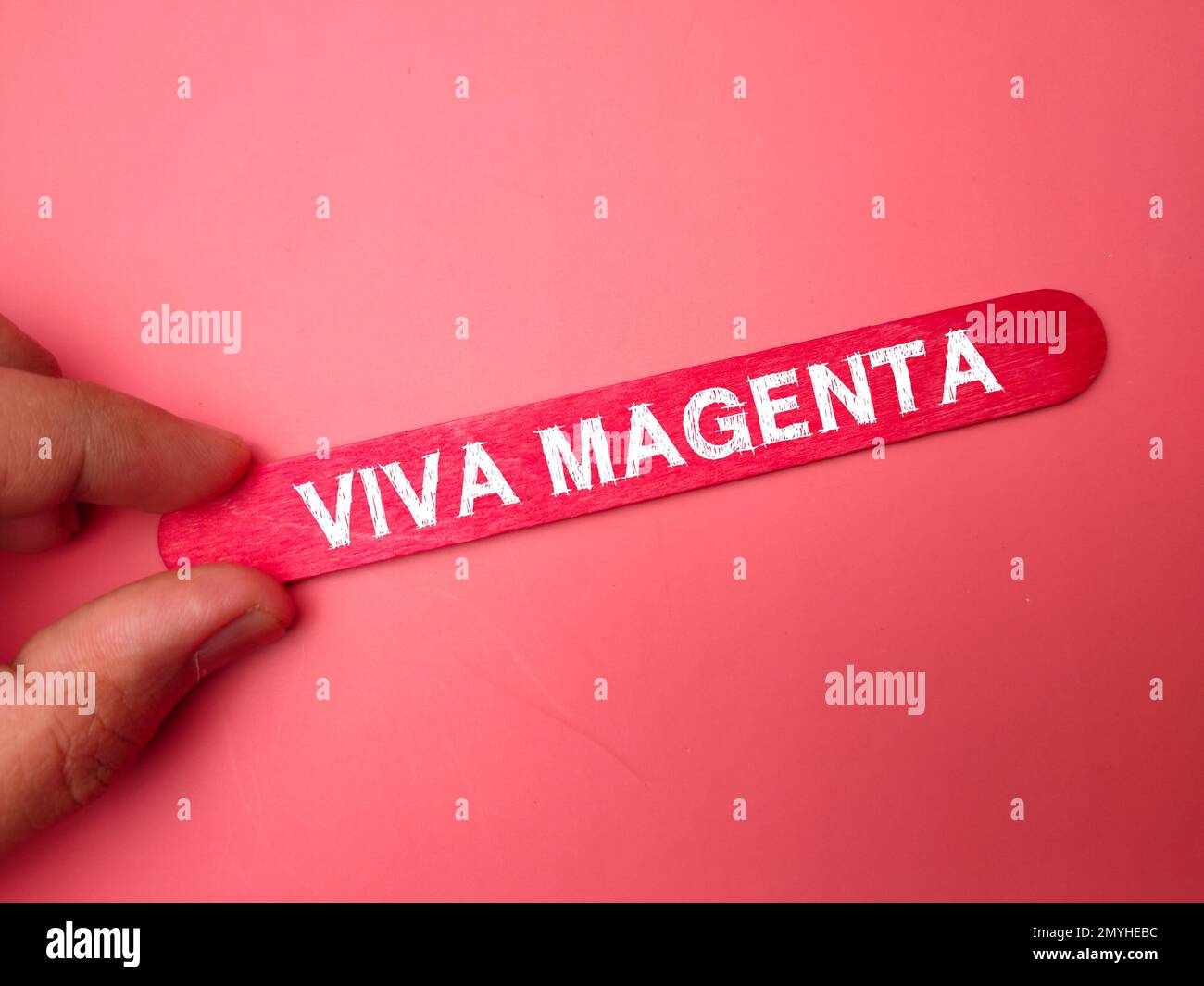 Hand holding ice cream stick with word VIVA MAGENTA Stock Photo - Alamy