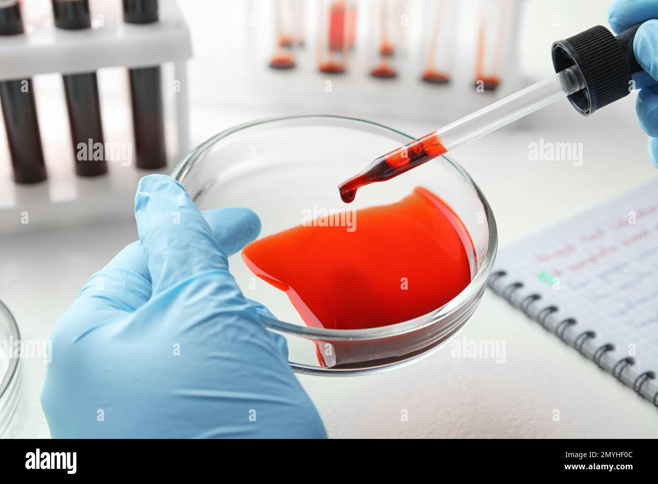 Scientist dripping blood from pipette into Petri dish at table, closeup ...