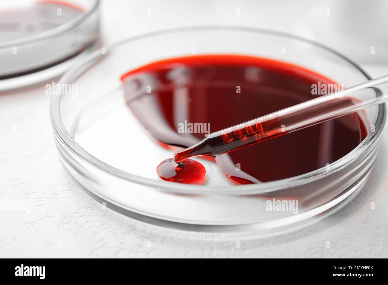 Dripping blood from pipette into Petri dish on table, closeup ...