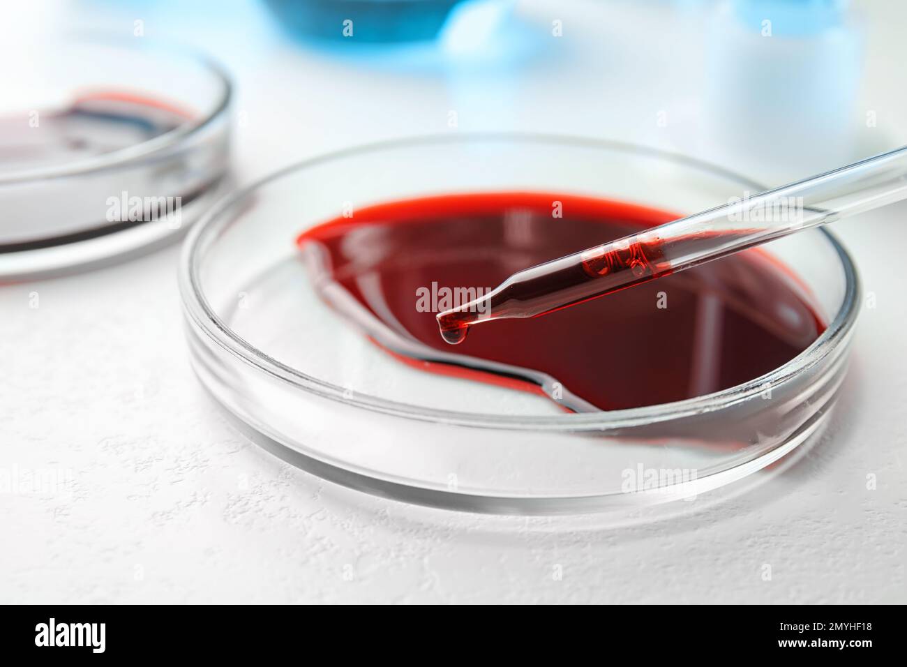 Dripping blood from pipette into Petri dish on table, closeup ...