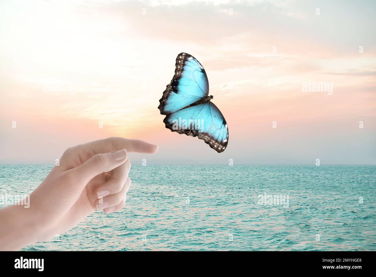 Flying away butterfly hi-res stock photography and images - Alamy