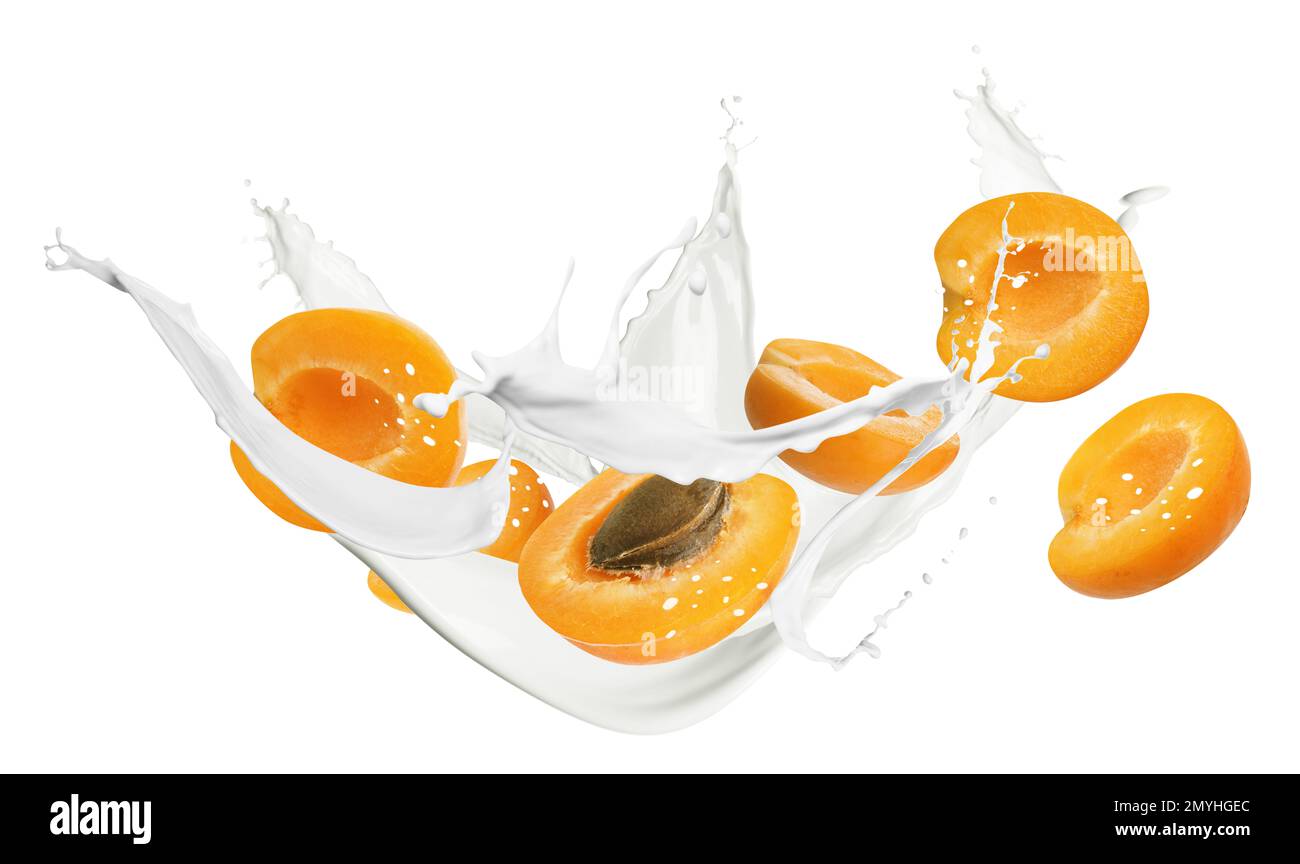 Milk splash with fresh apricots on white background Stock Photo - Alamy