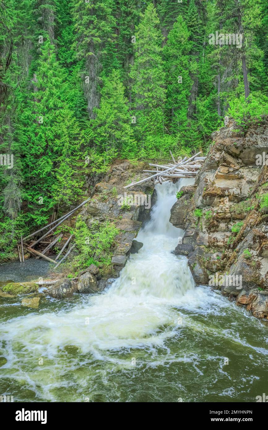 lower west fork yaak falls near yaak, montana Stock Photo - Alamy