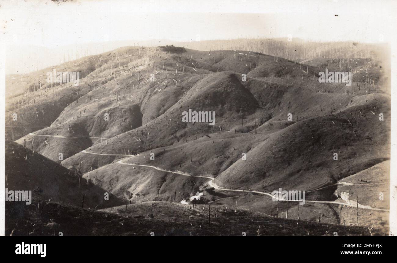 Wild Dog Valley Apollo Bay from Rose Postcard c.1950 Stock Photo - Alamy