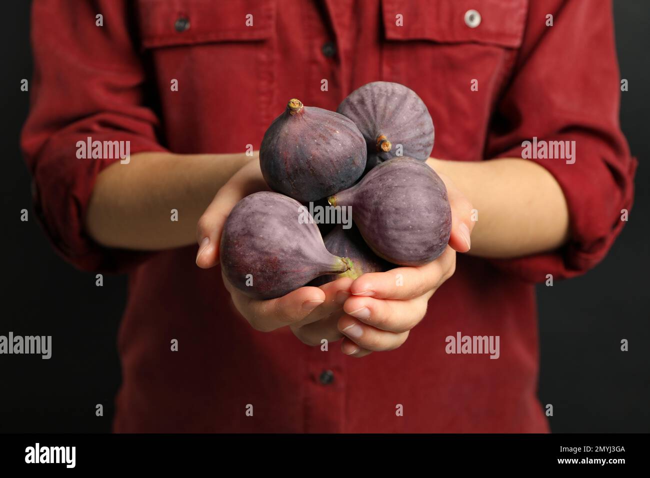 Hand holding purple fig hi-res stock photography and images - Alamy