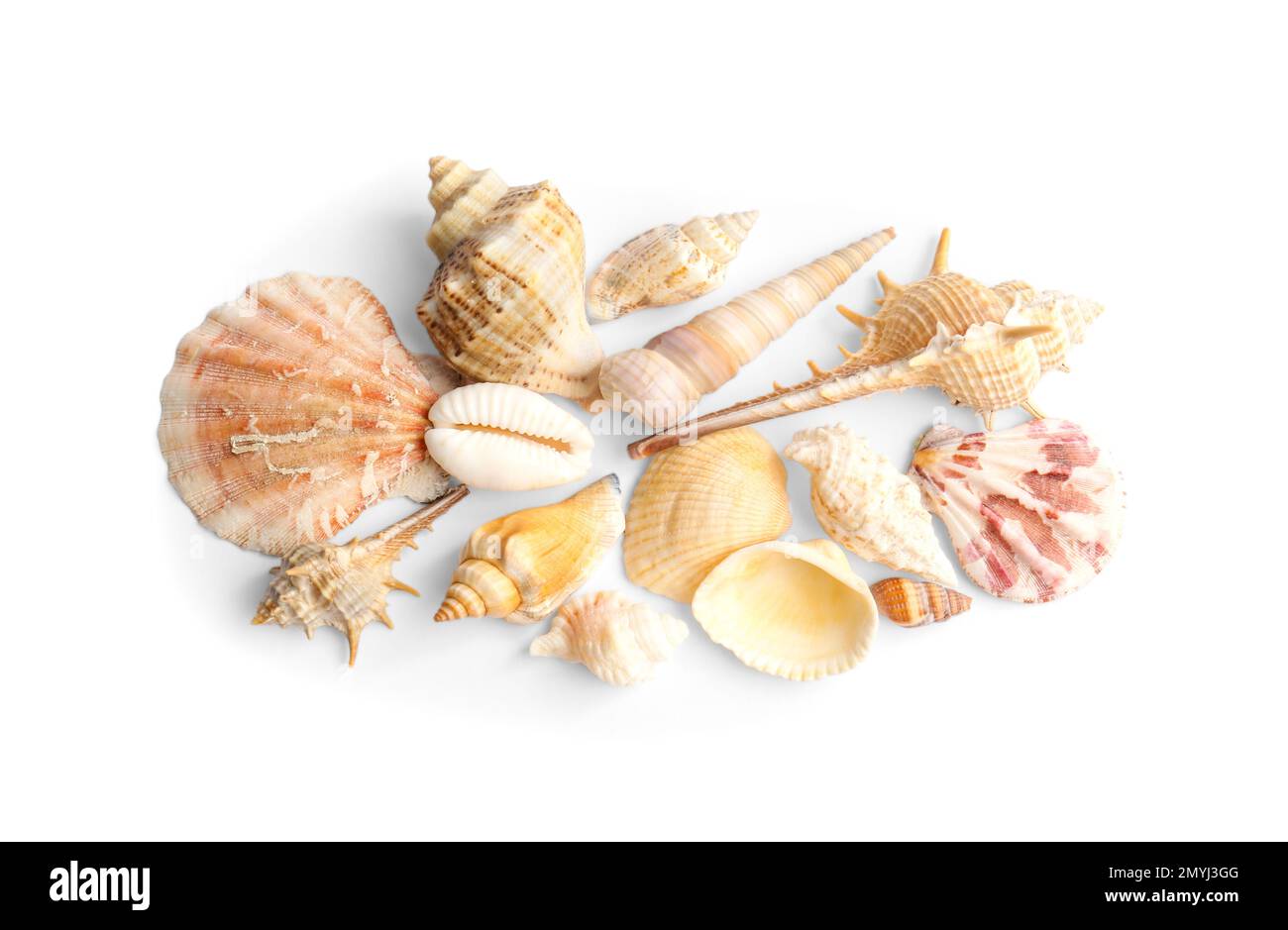 Amazing beauty on sea Cut Out Stock Images & Pictures - Alamy