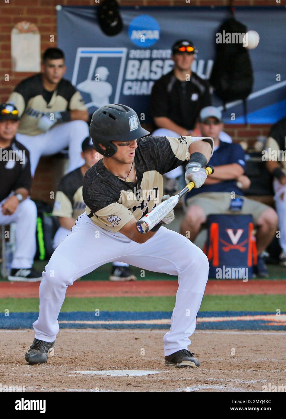 Bryant infielder Brandon Bingel (21) bunts for an out during an NCAA ...