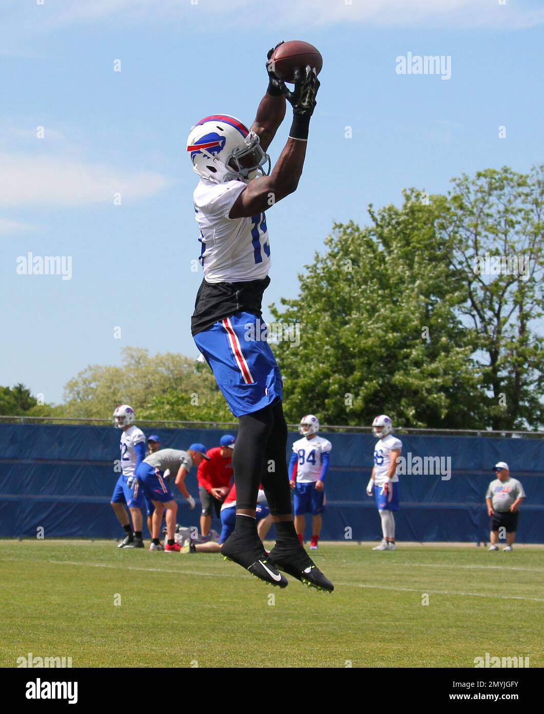 Buffalo Bills wide receiver Dezmin Lewis (13) makes a catch during an ...