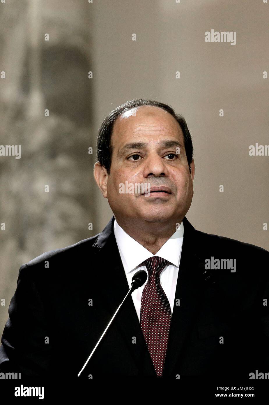 Egyptian President Abdel-Fattah el-Sissi, speaks during a press ...