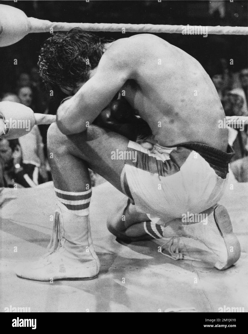 Los Angeles, Calif. based, Mexican boxer Carlos Palomino, drops to one ...