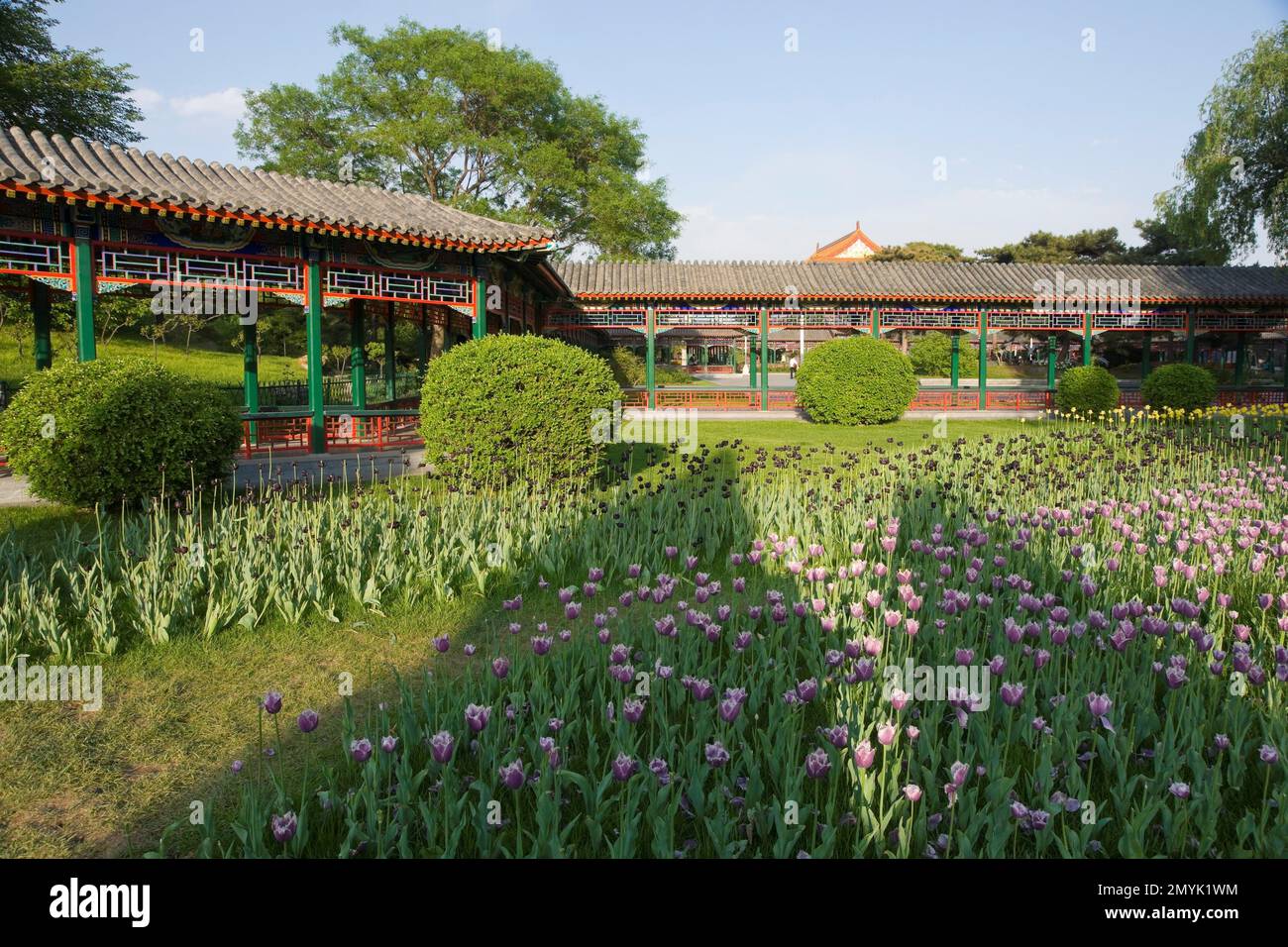 Beijing landscape parks sites hi-res stock photography and images - Alamy