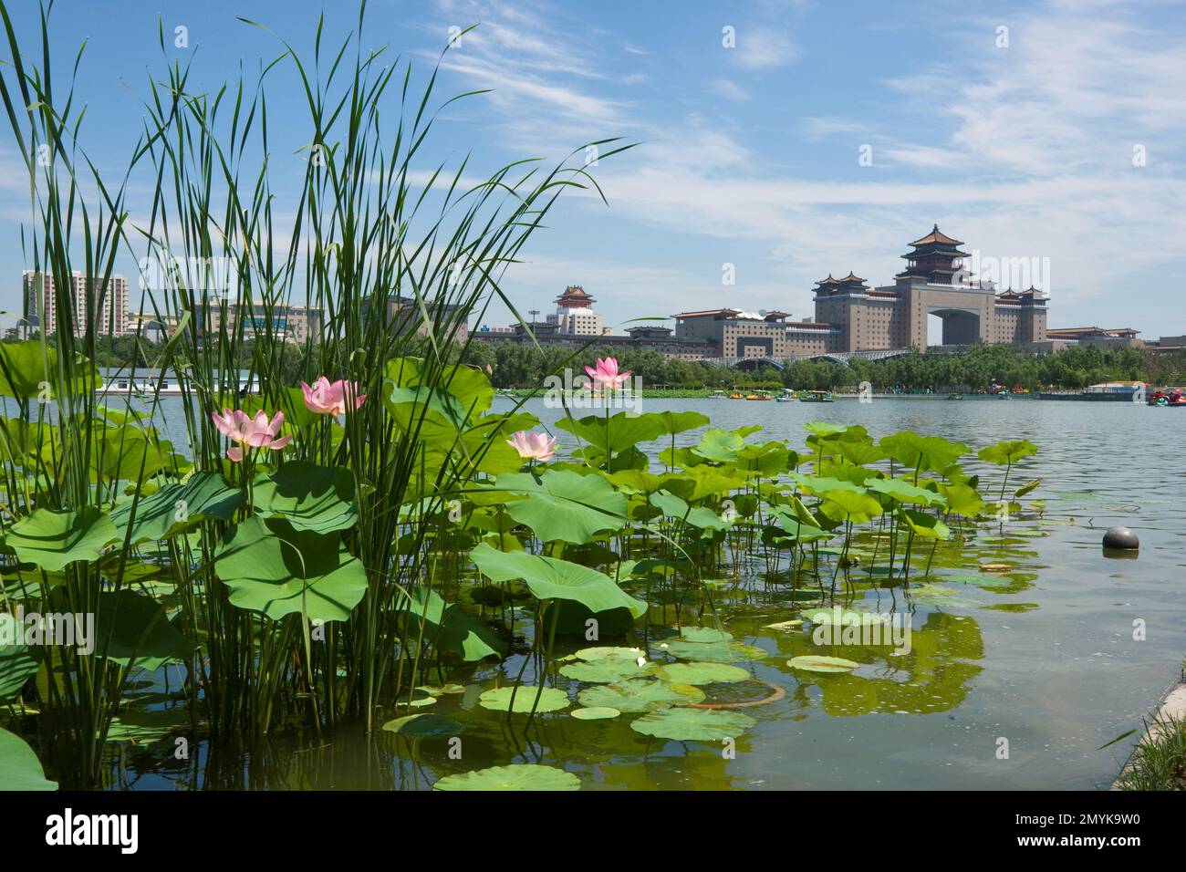 Beijing west railway station lotus pond park scenery Stock Photo - Alamy