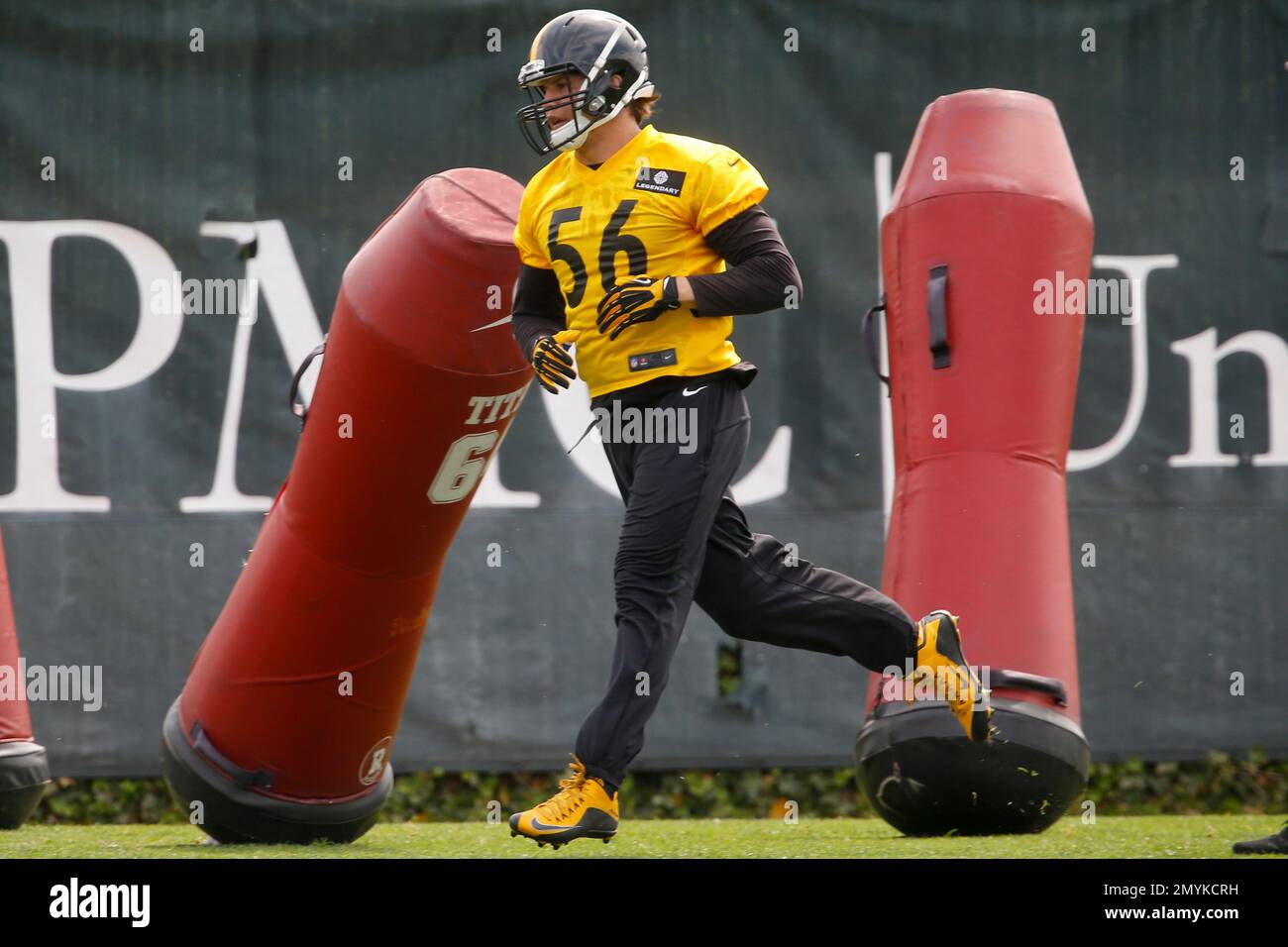 Pittsburgh Steelers defensive end Anthony Chickillo (56) during NFL ...