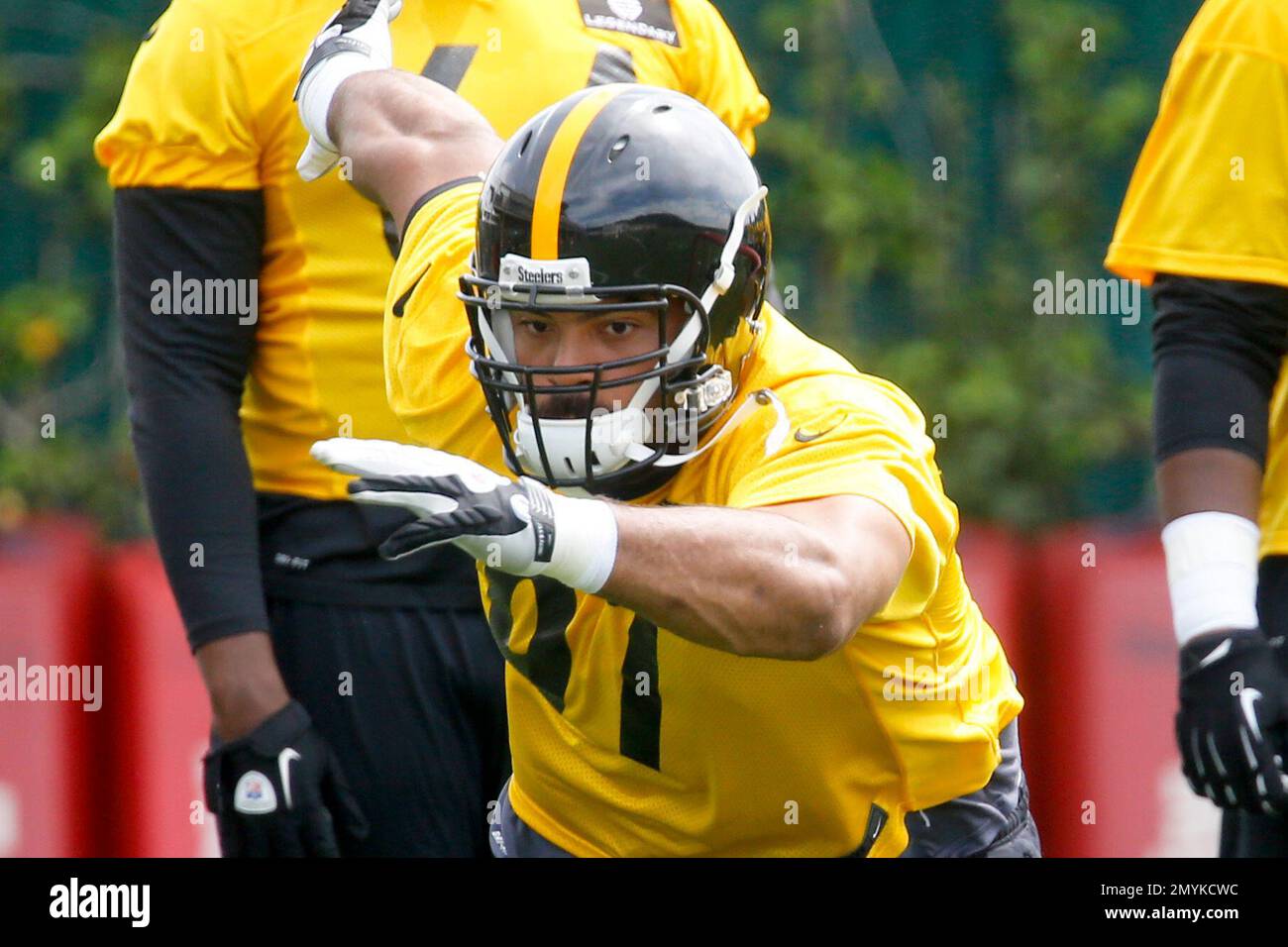 Pittsburgh Steelers defensive end Cameron Heyward (97) during NFL ...