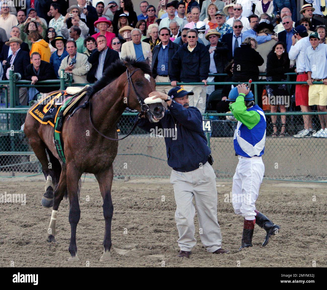 Ky Derby Winner Barbaro Sketch