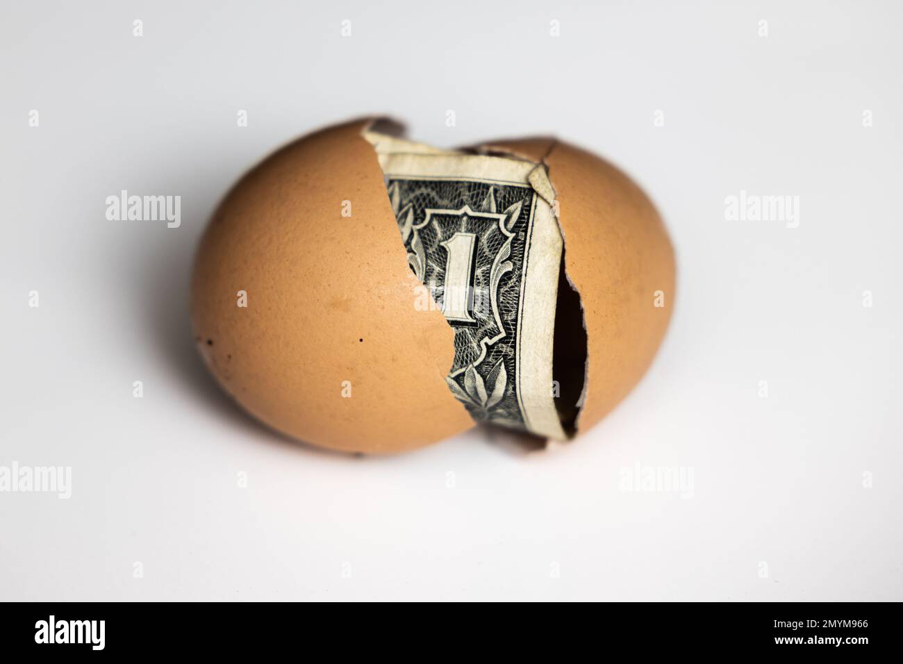 concept image using a 1 dollar bill inside of a cracked egg on a white ...