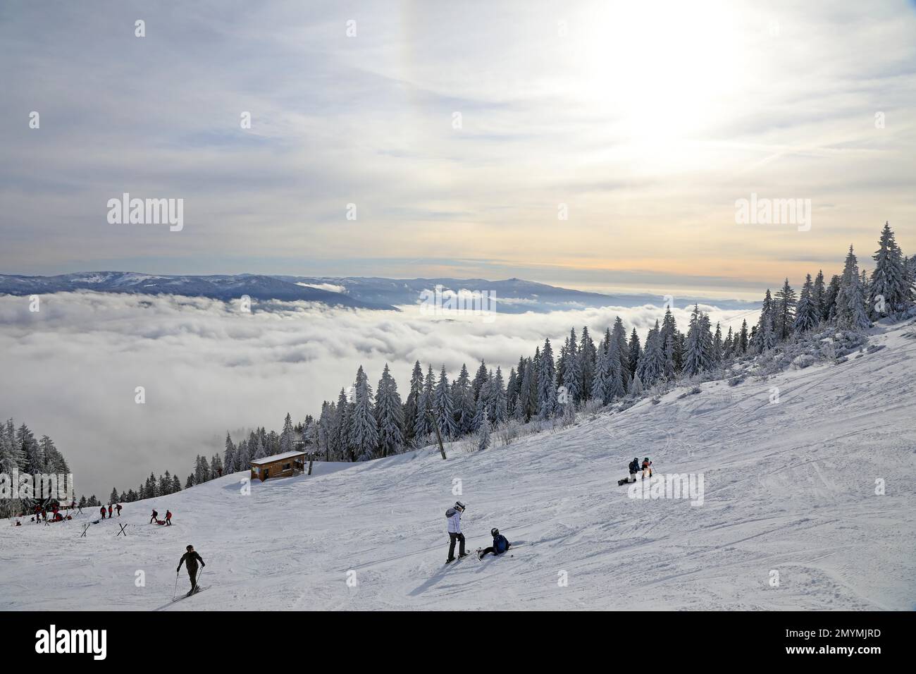 Snowy landscape, Großer Arber, National Park, Bavarian Forest, Bavaria ...