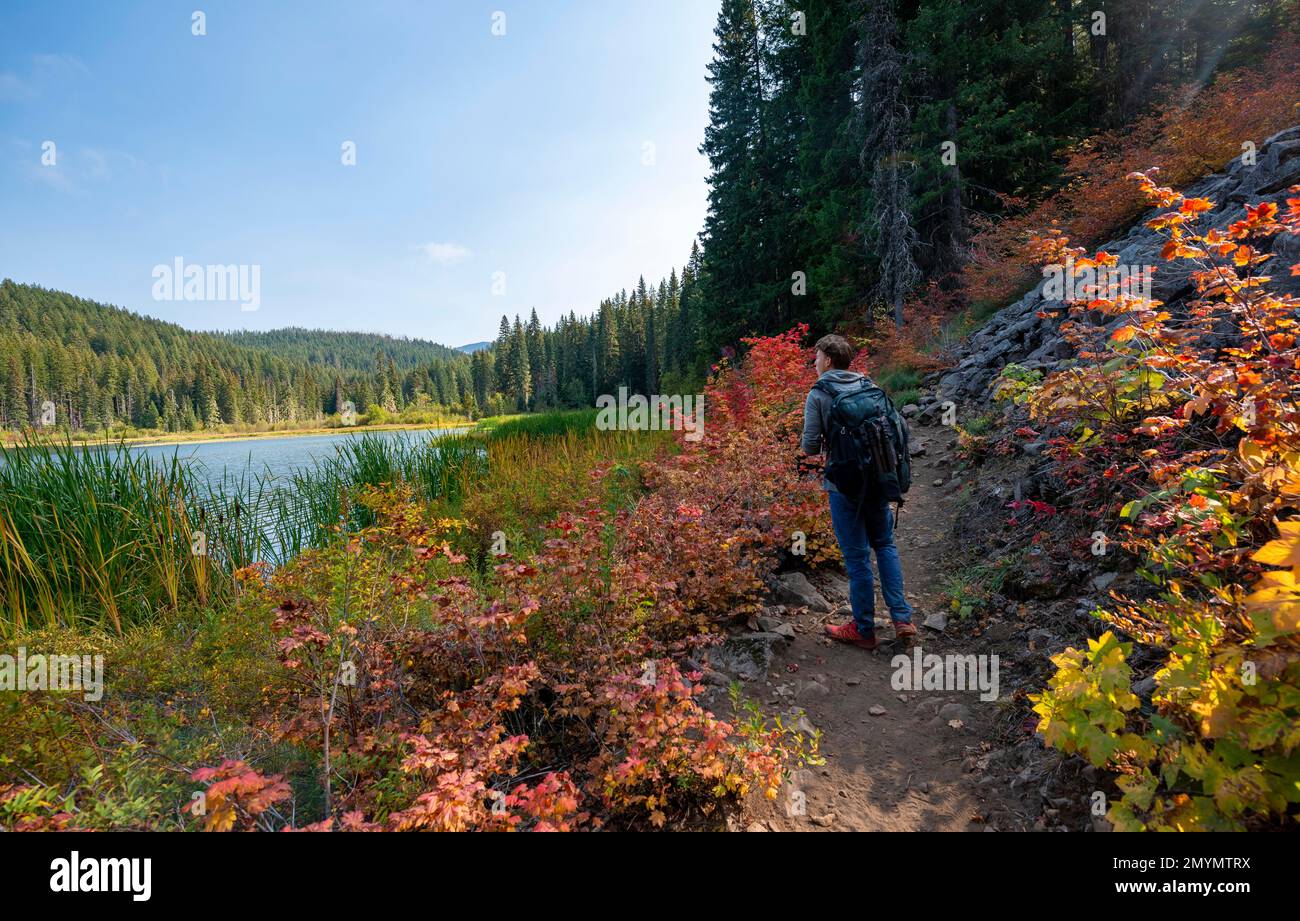 Hikers on a trail in the forest at Marion Lake, autumn landscape, Grand ...