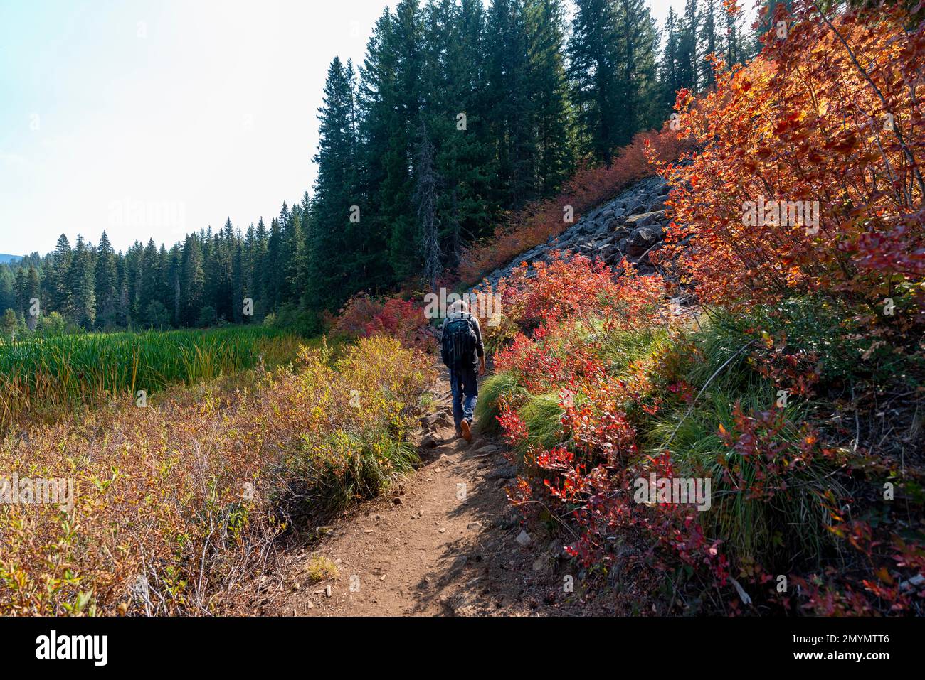 Hikers on a trail in the forest to Marion Lake, autumn landscape, Grand ...
