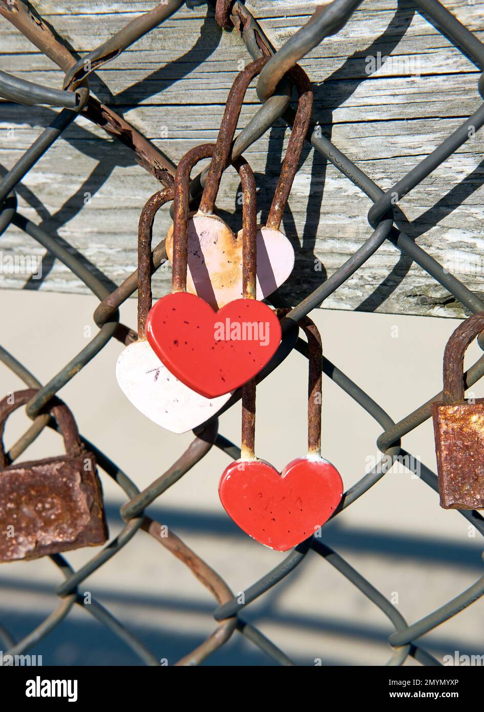 Red, heart shaped love locks on an oceanside fence Stock Photo - Alamy