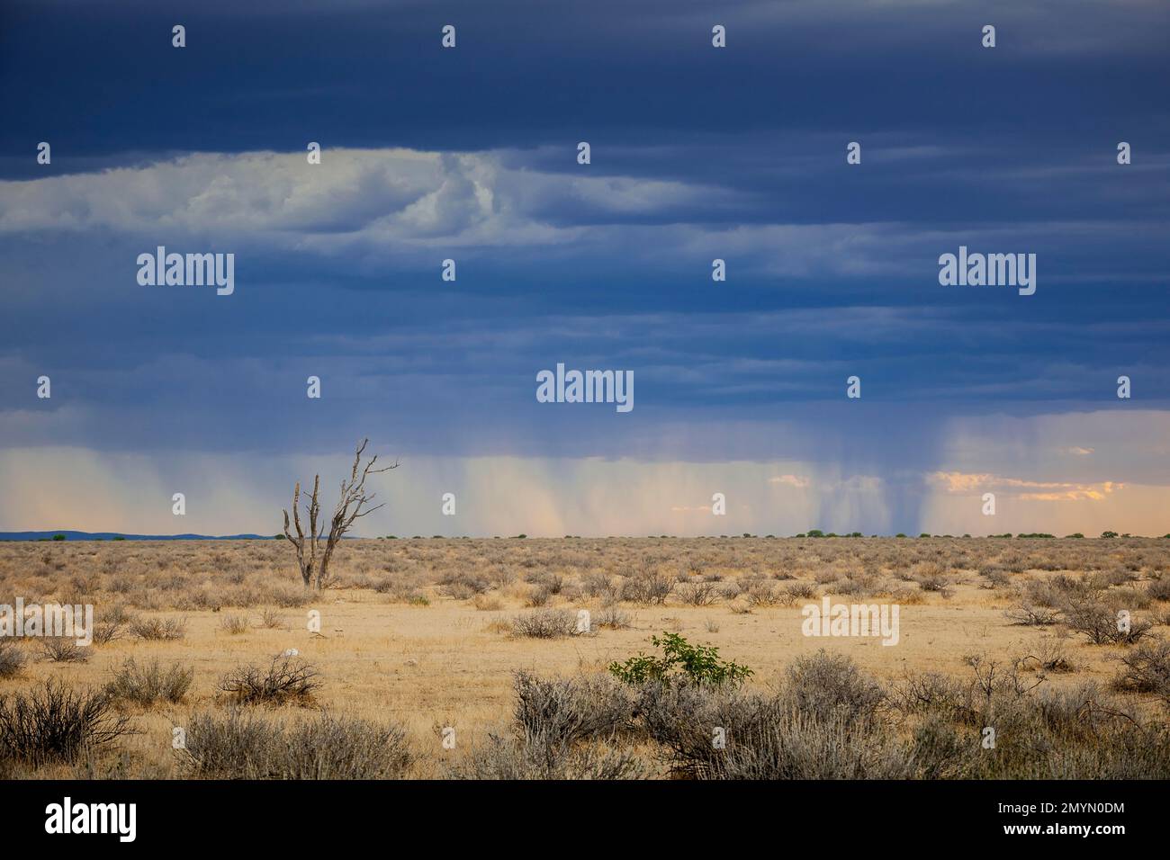 Rain over the landscape, rain clouds on the horizon, Etosha National ...