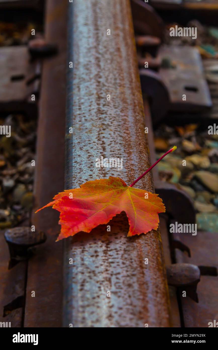 Autumn Leaf On Railroad Tracks Stock Photo - Alamy