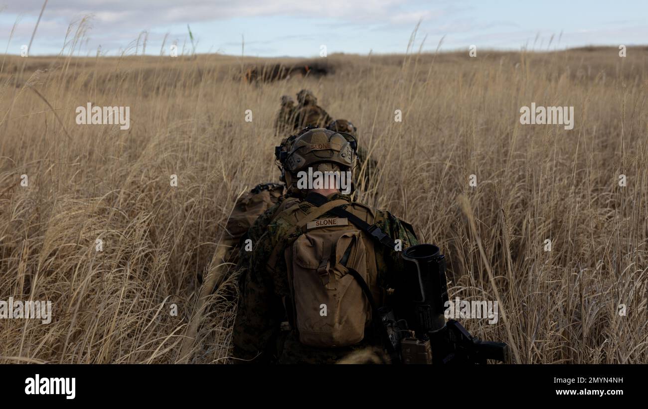 U.S. Marines with 3d Battalion, 4th Marines maneuver through thick ...