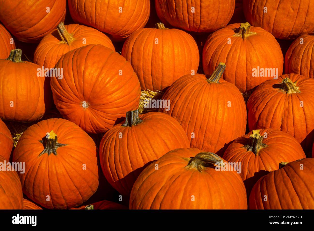 Pile of crops hi-res stock photography and images - Alamy