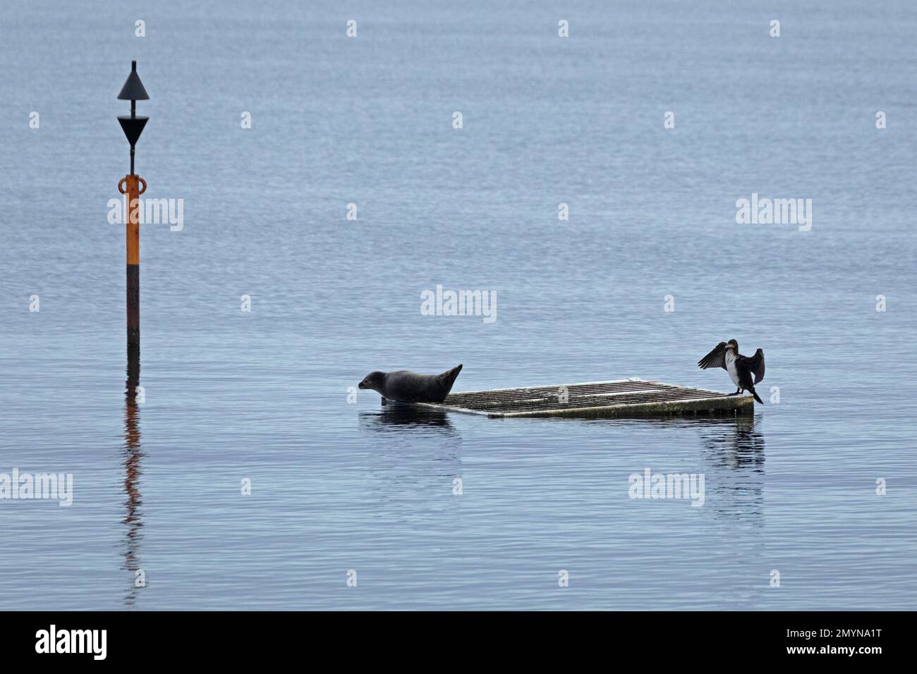 The great raft hi-res stock photography and images - Alamy