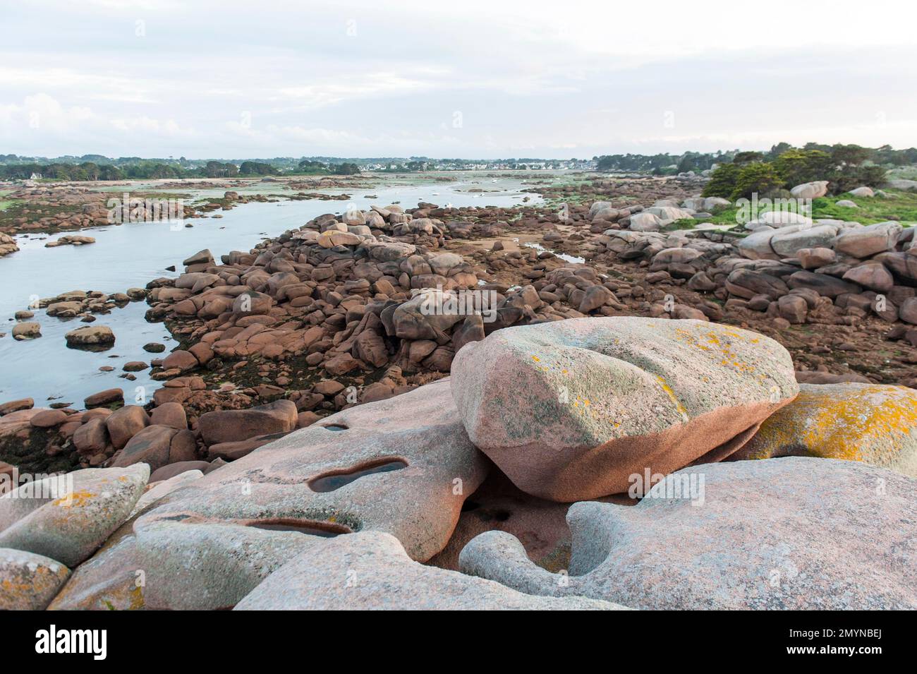 Pink granite rocks, Île Renote, Trégastel, pink granite coast, Côte de ...