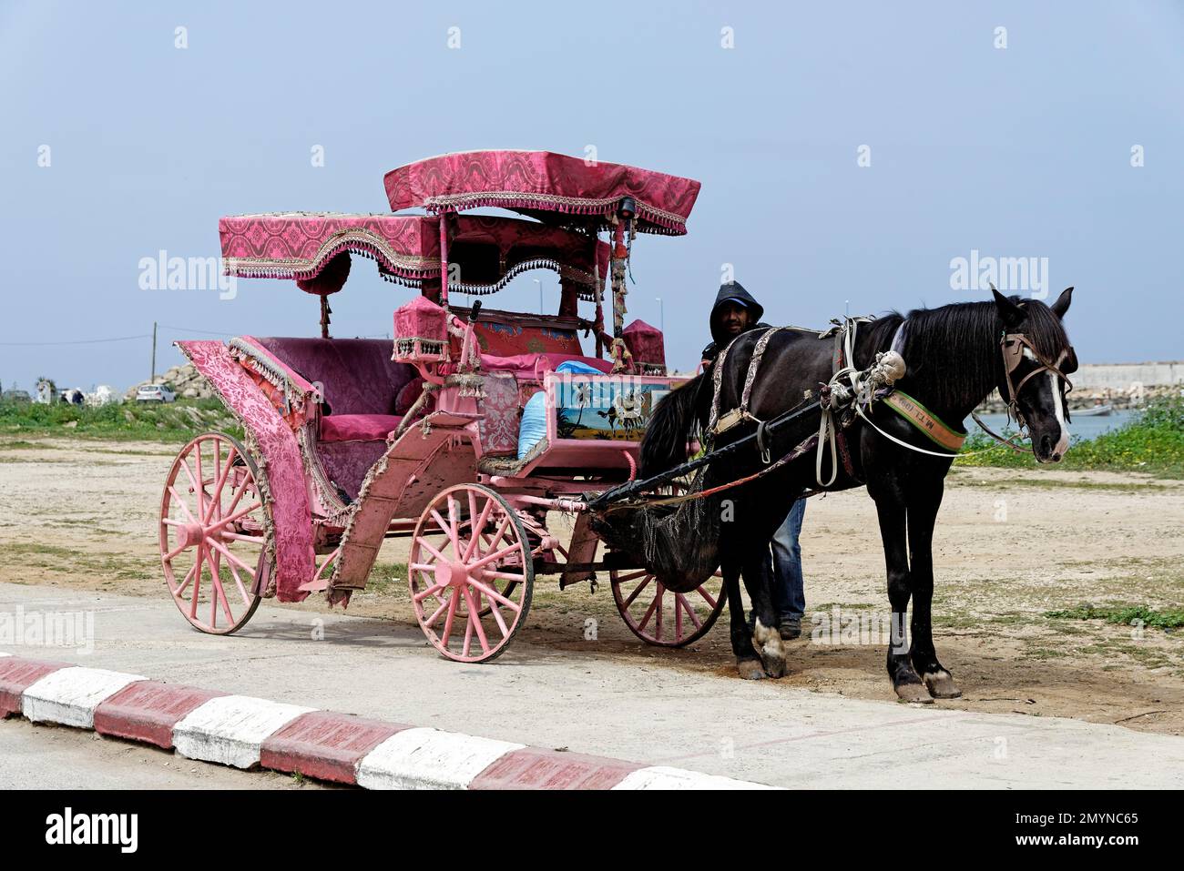 Taxi, horse-drawn carriage, old town, Asilah, Morocco, Africa Stock ...