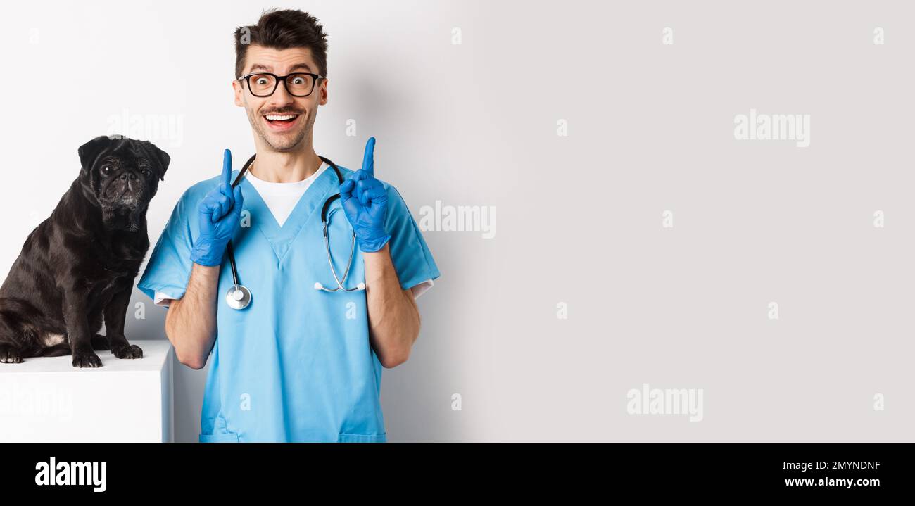 Handsome young doctor at vet clinic pointing finger up and smiling ...