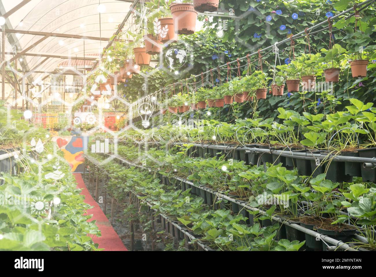 Plants background with biochemistry structure. Natural and science ...