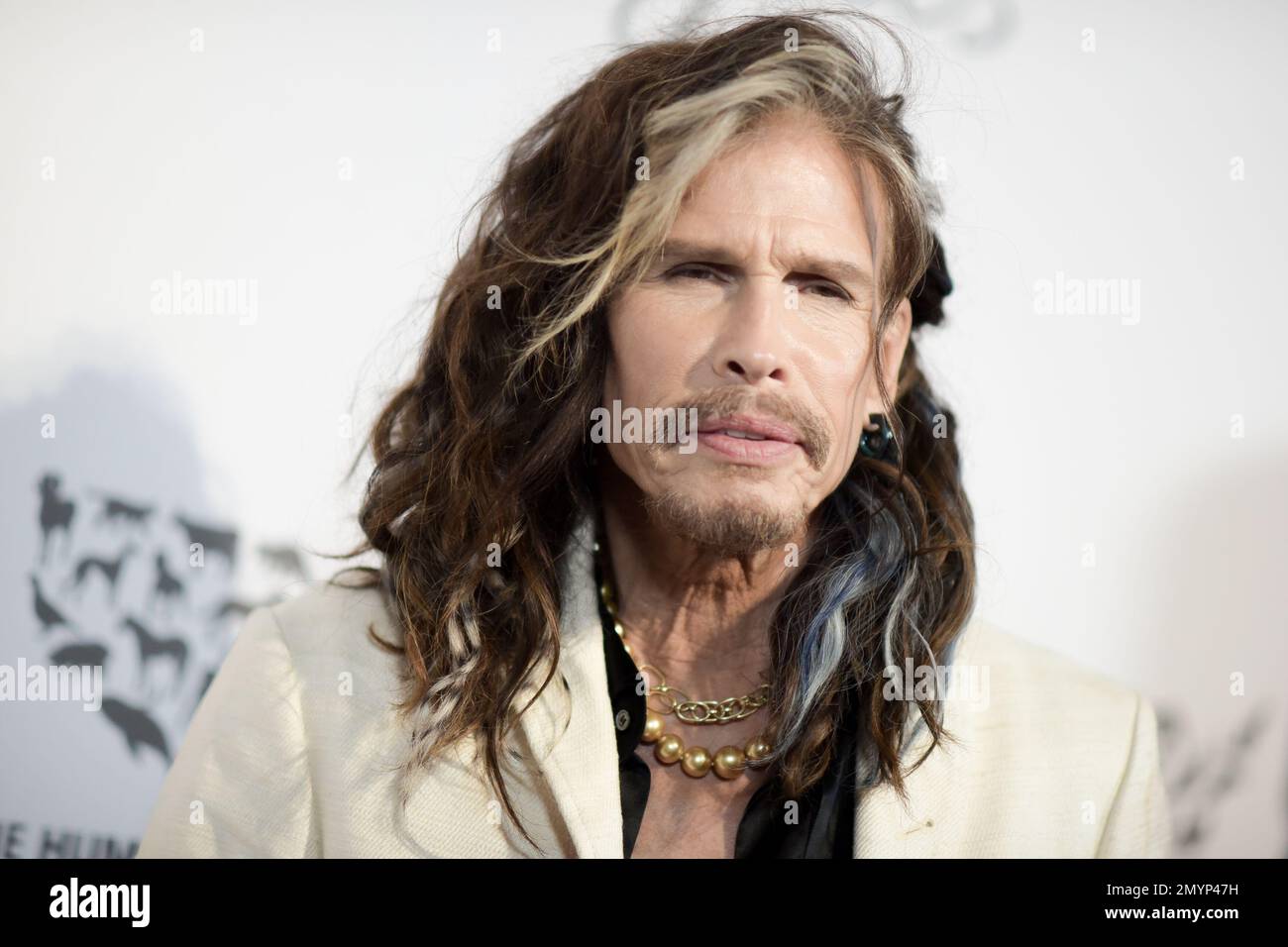 Steven Tyler attends "To the Rescue: Saving Animal Lives" Gala and ...