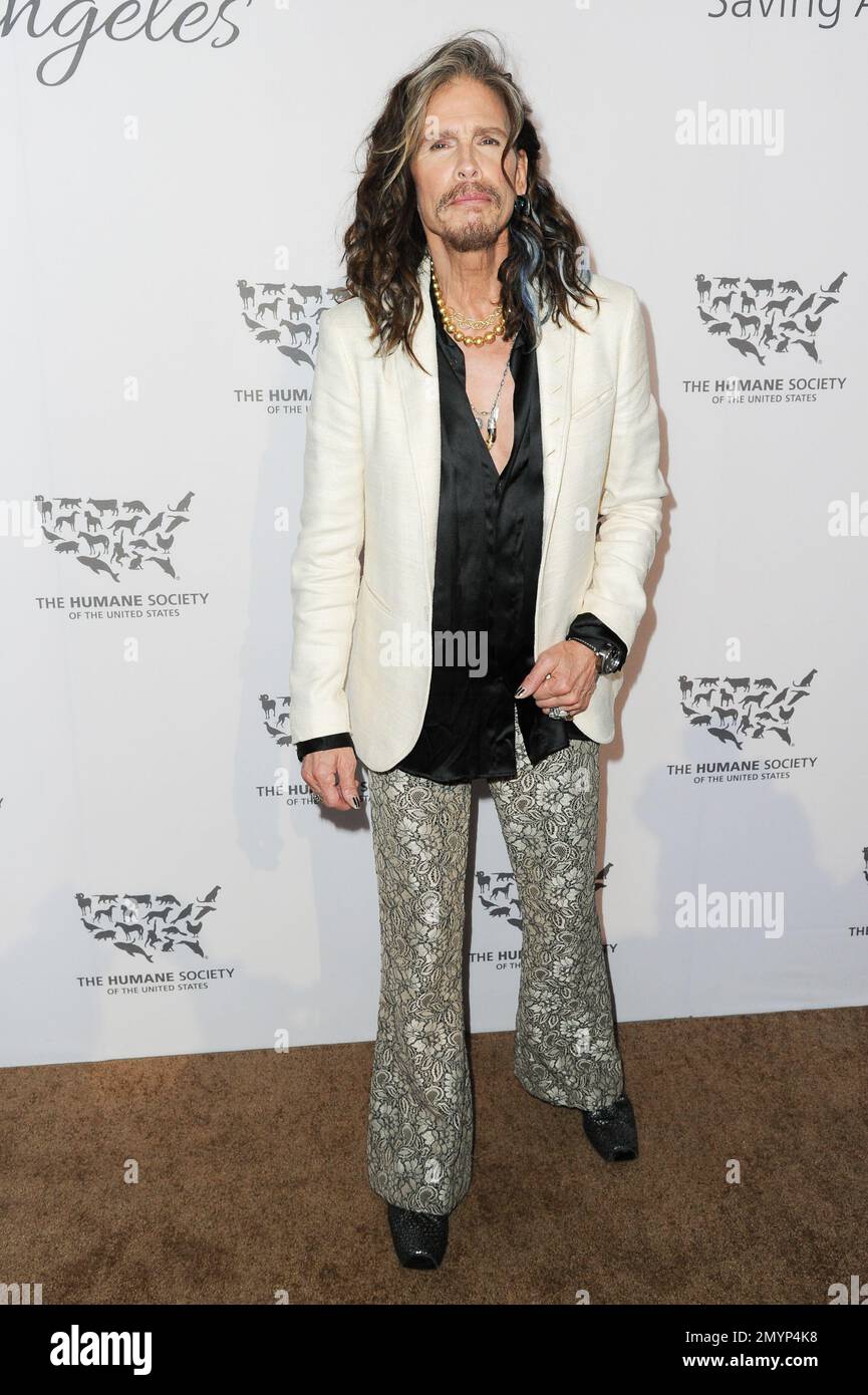 Steven Tyler attends "To the Rescue: Saving Animal Lives" Gala and ...