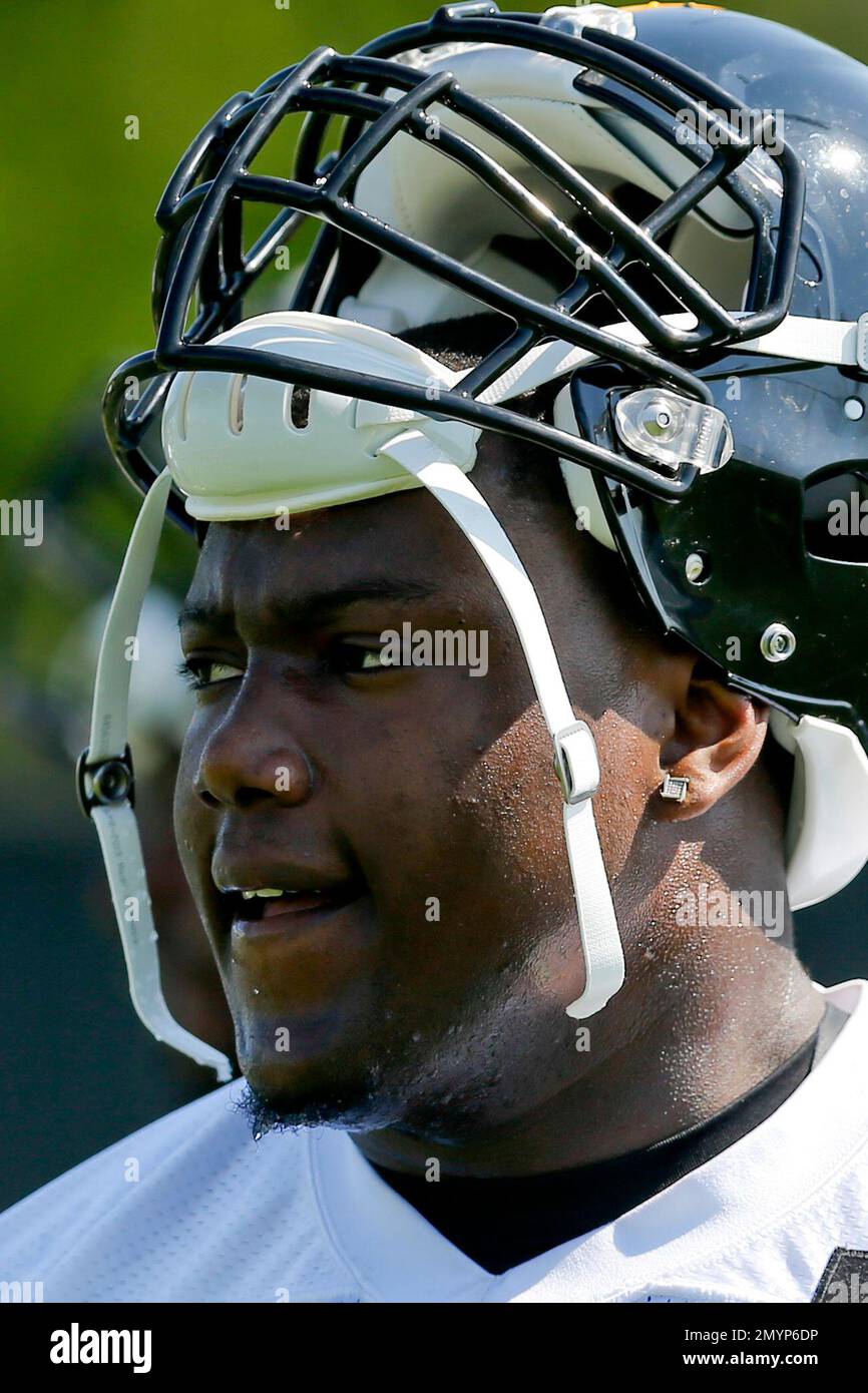 Pittsburgh Steelers offensive lineman Jerald Hawkins (65) during NFL ...