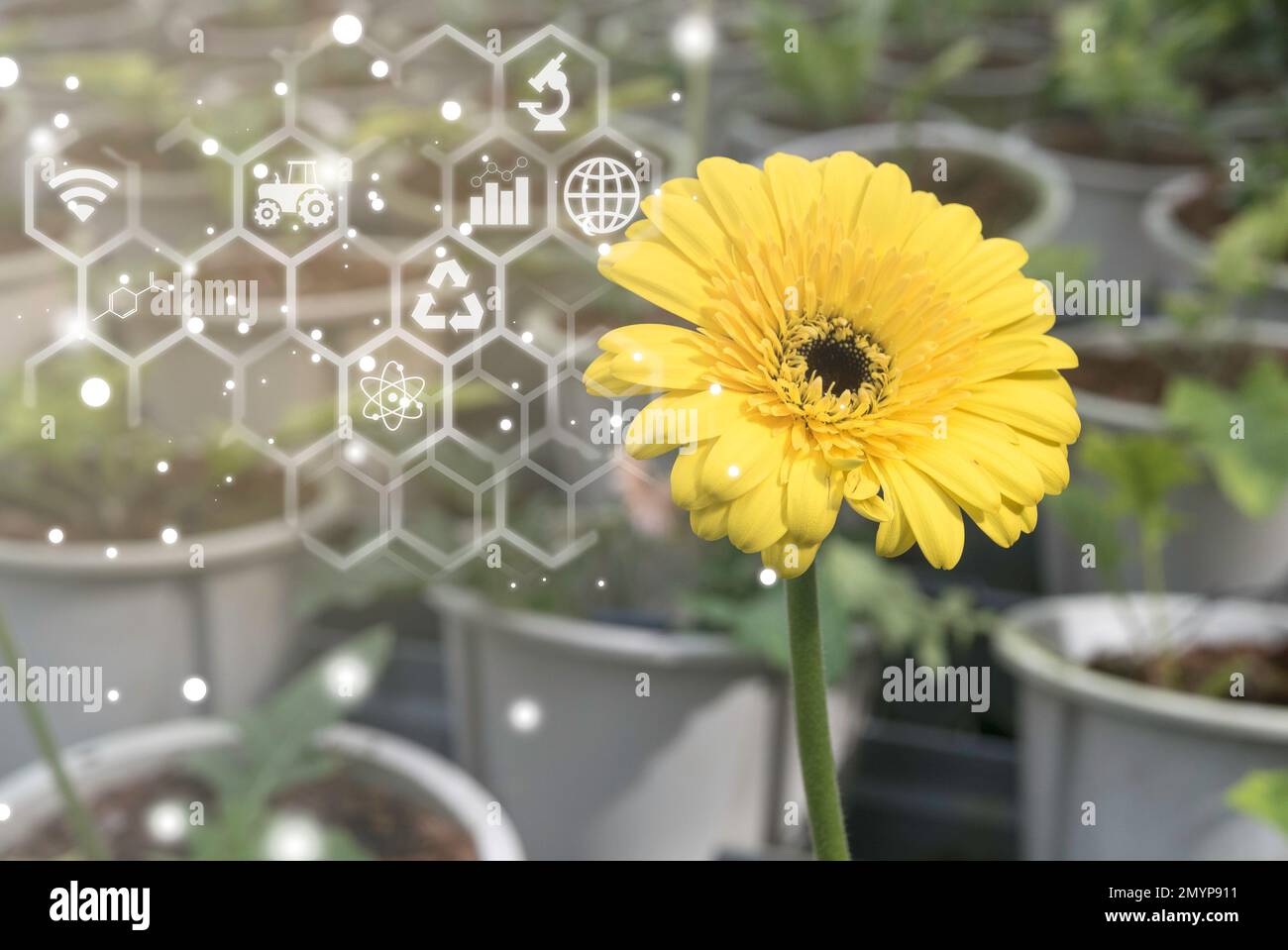 Smart farm technology agriculture with a plant and virtual icon at the ...