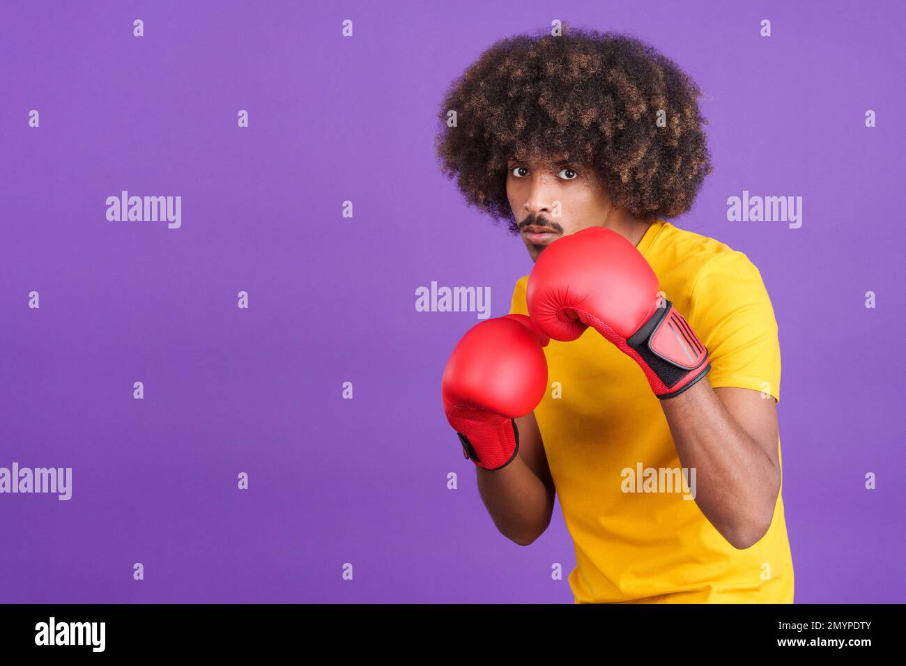 Young man in boxing pose hi-res stock photography and images - Alamy