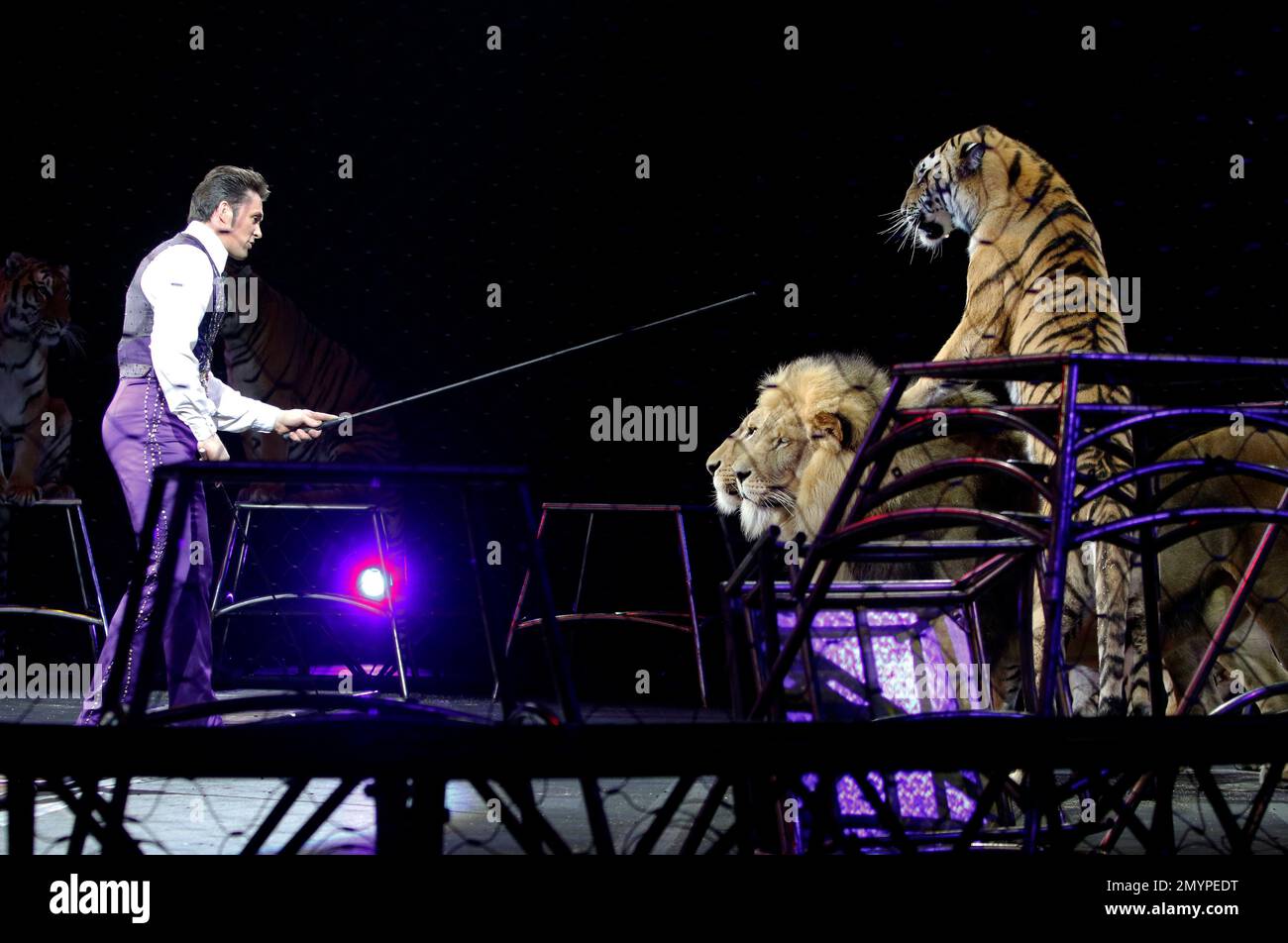 Big-cat trainer Alexander Lacey performs with lions and tigers Sunday ...