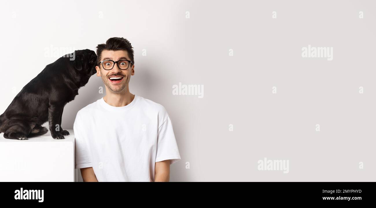 Image of cute black pug dog whispering at owner ear, man looking amazed ...