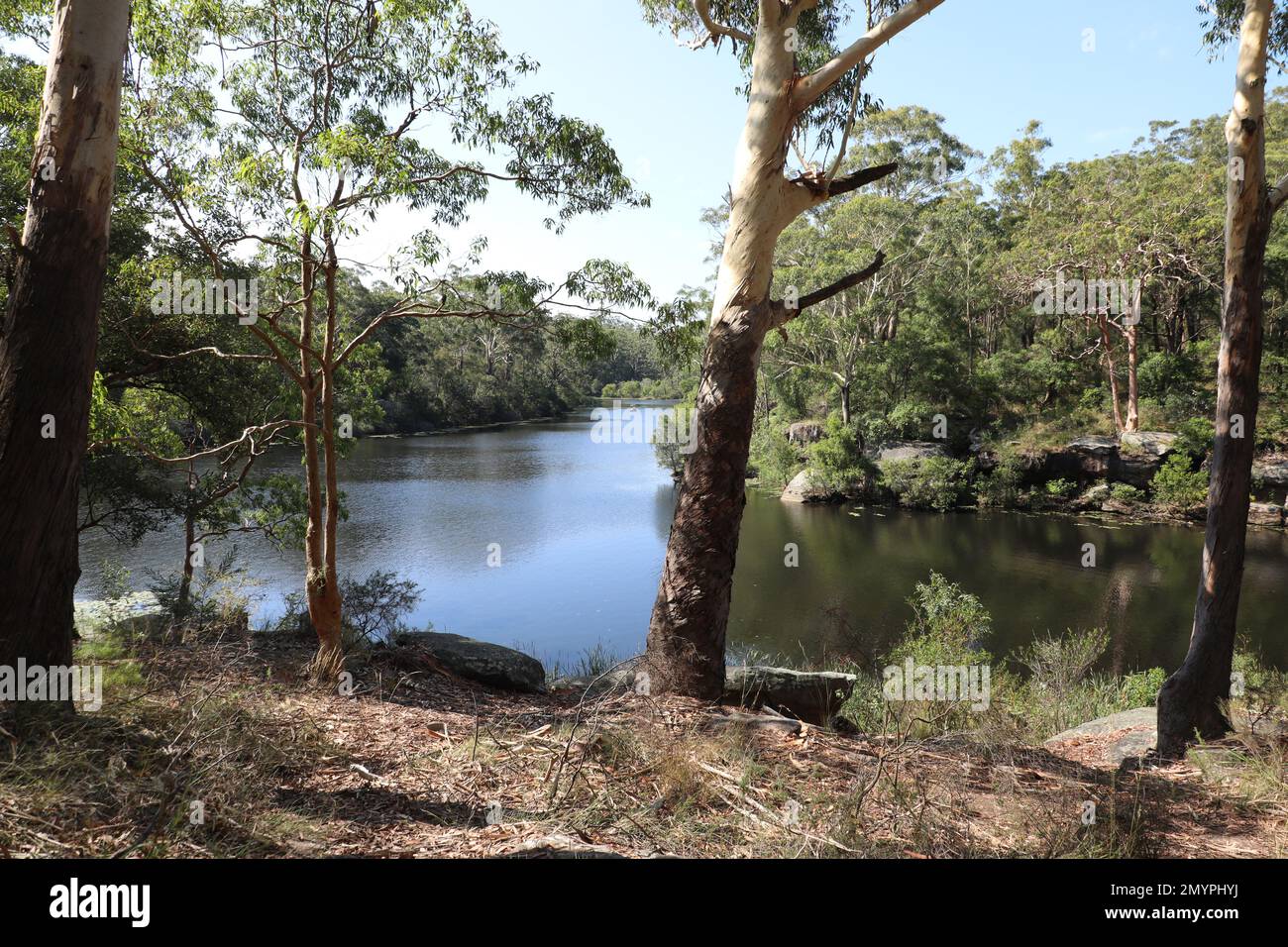 View of Lake Parramatta from the Arrunga Bardo Walk part of the Lake ...