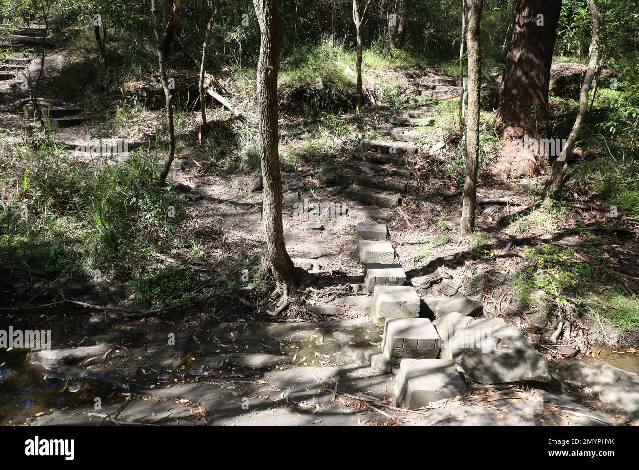 Arrunga Bardo Walk part of the Lake Circuit at Lake Parramatta Reserve ...