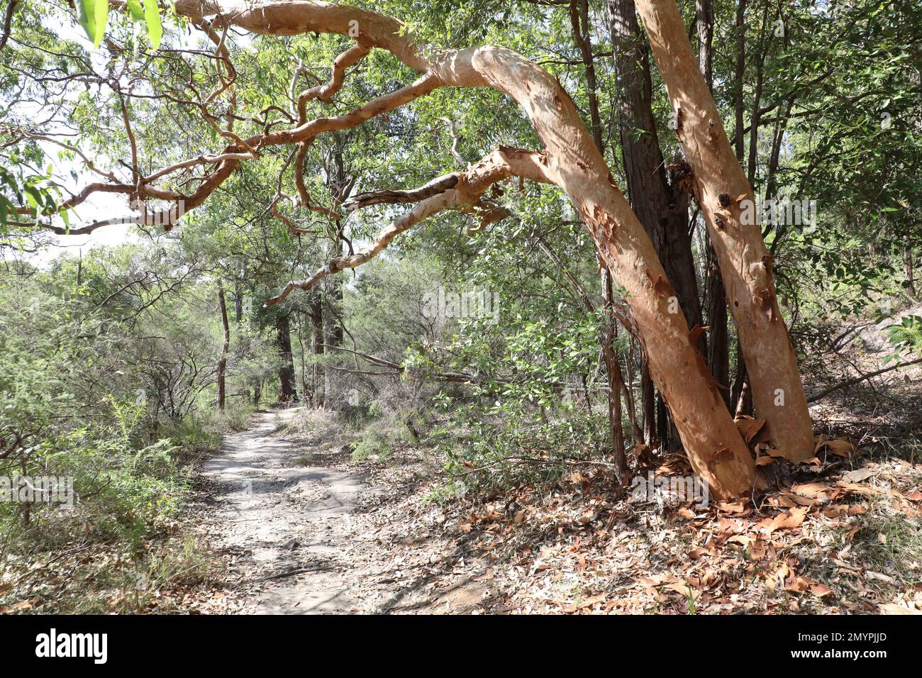 Lake Parramatta Reserve Stock Photo - Alamy