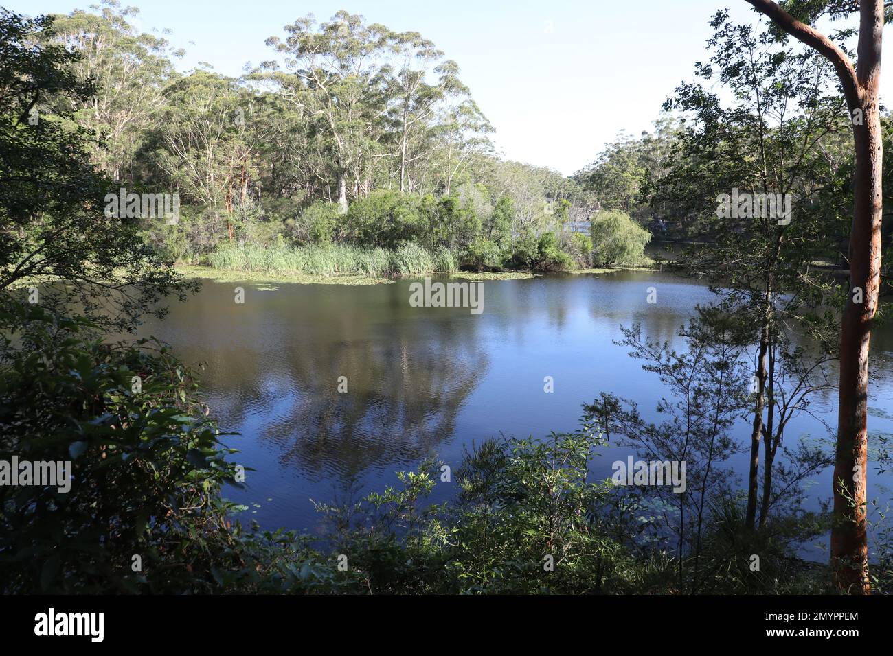 Lake Parramatta Reserve Stock Photo - Alamy