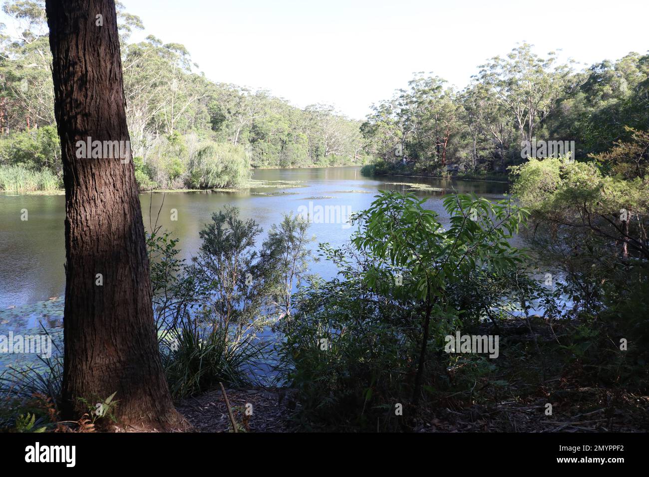 Lake Parramatta Reserve Stock Photo - Alamy