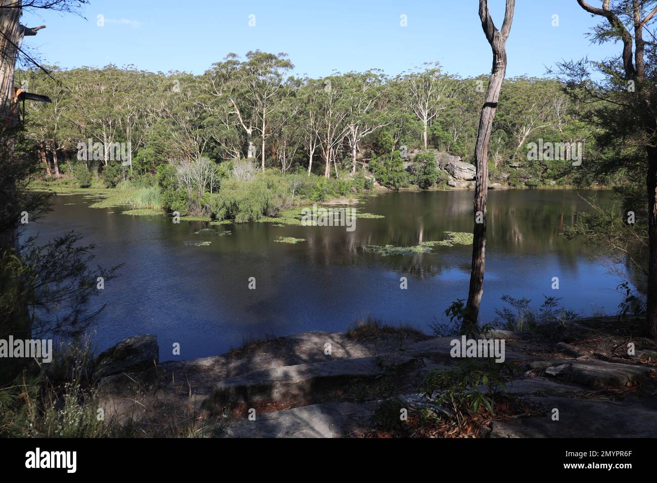 Lake Parramatta Reserve Stock Photo - Alamy
