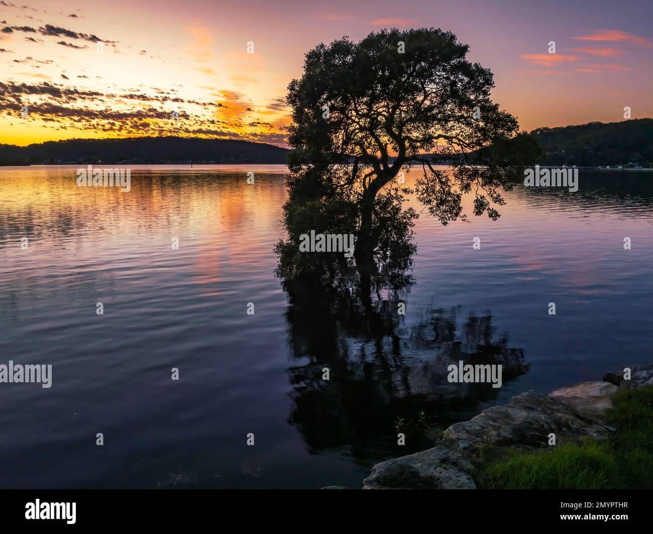 Aerial sunrise over the bay with altocumulus clouds painting the sky at ...