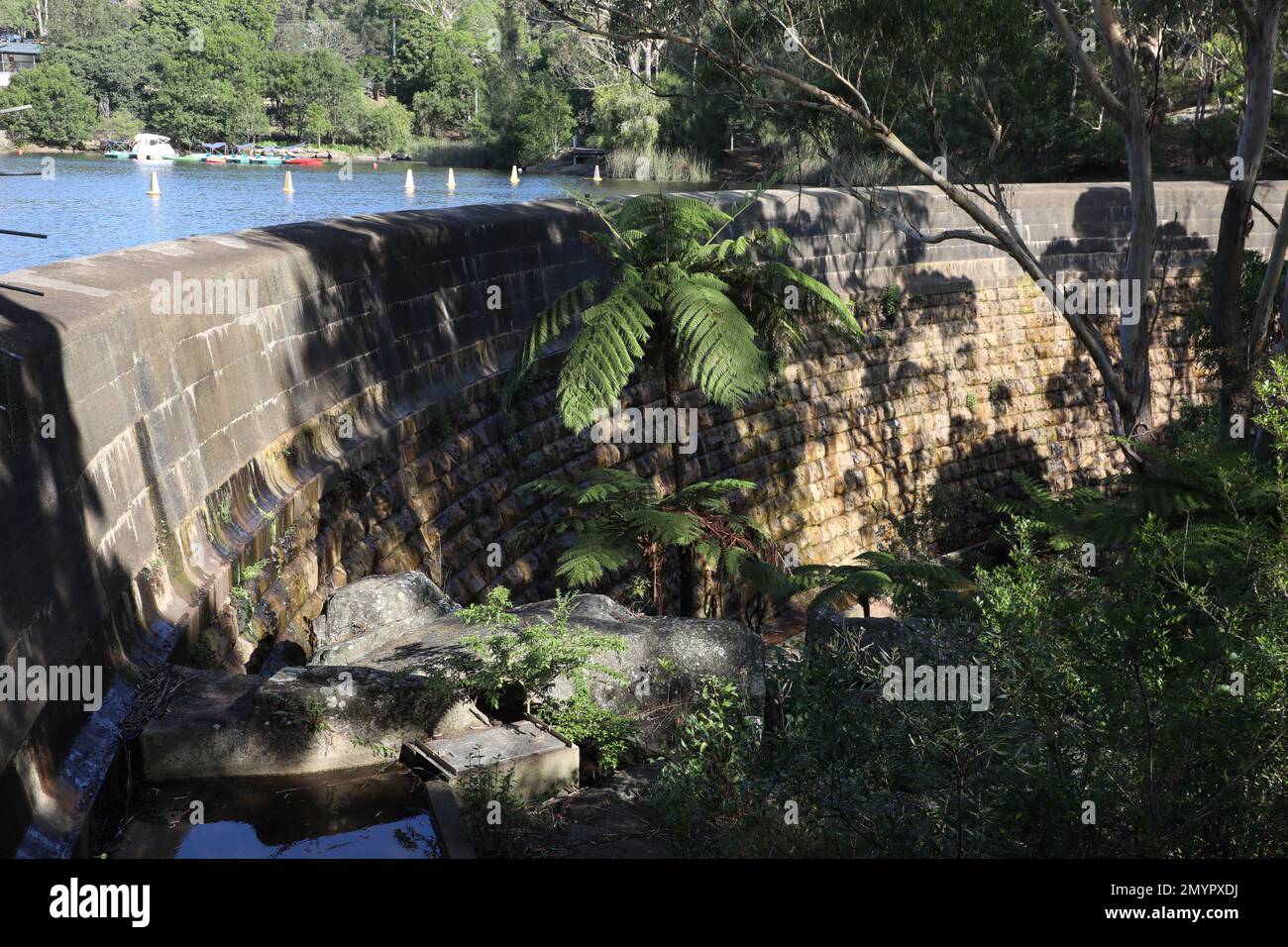 Lake Parramatta Reserve Stock Photo - Alamy