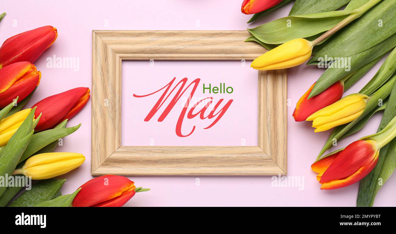 Text HELLO, MAY and tulip flowers on pink background Stock Photo - Alamy