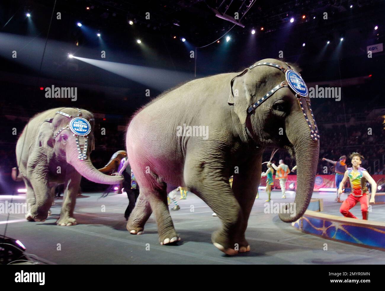 Asian elephants perform for the final time in the Ringling Bros. and ...